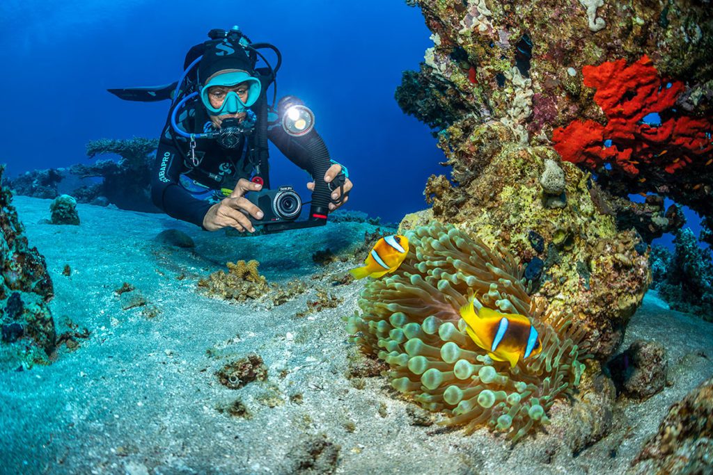 MAKE A SPLASH AT SCUBA SHOW 2022 – Scuba Show | May 30 - 31, 2026